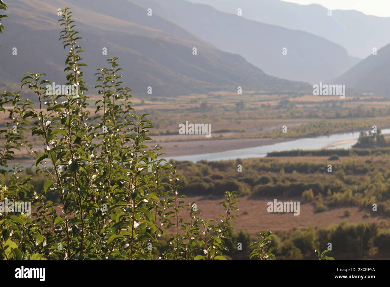 river valley bank Stock Photo - Alamy