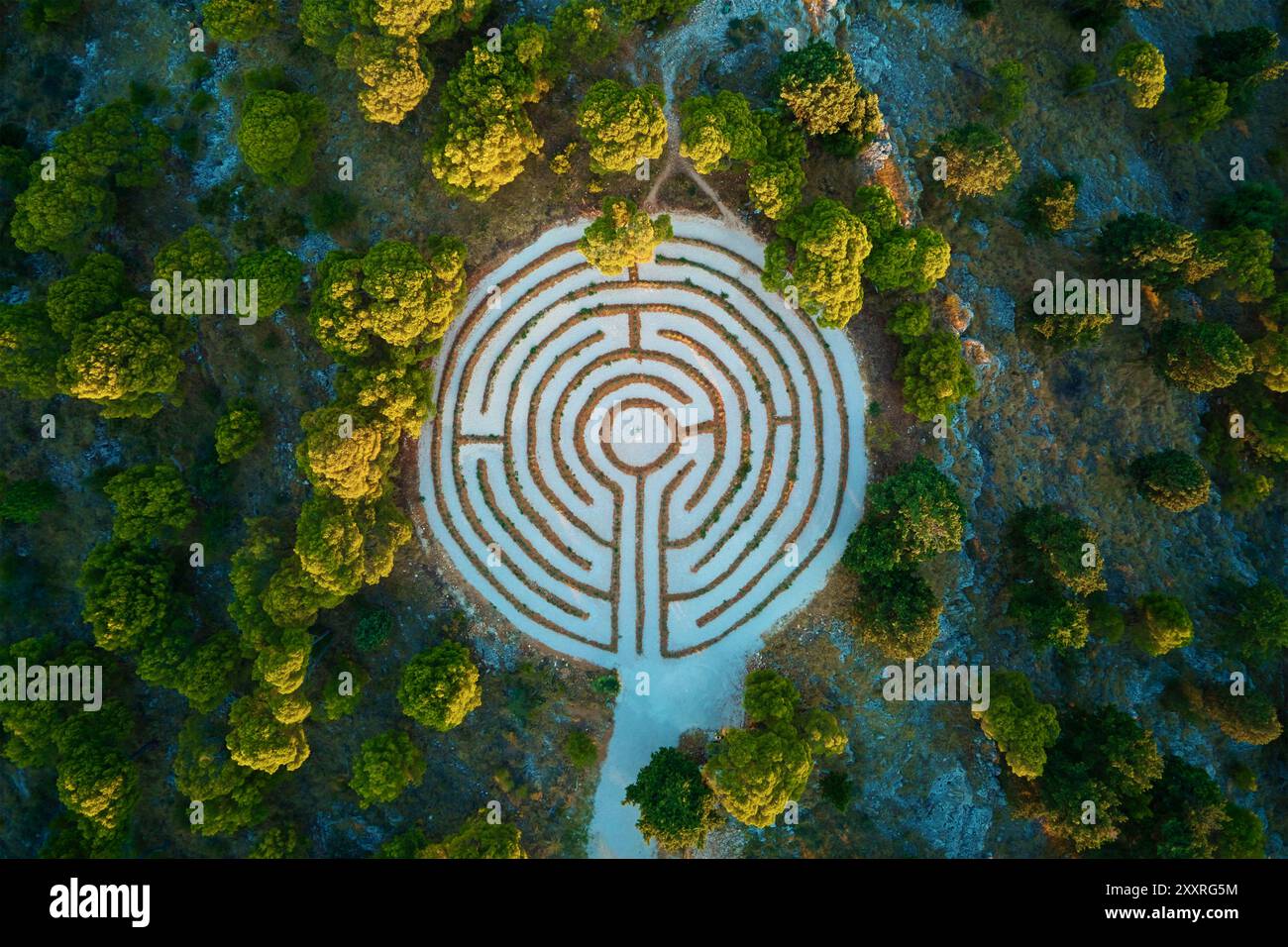 Aerial view of circular hedge maze surrounded by dense forest trees ...