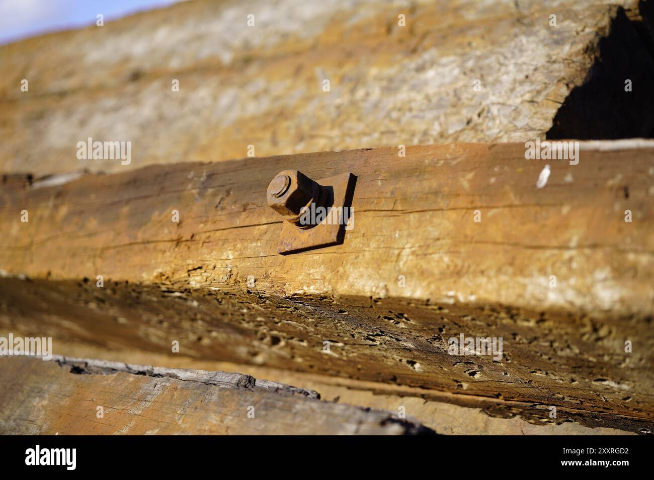 Old, rusty screw in big, brown wood block Stock Photo - Alamy