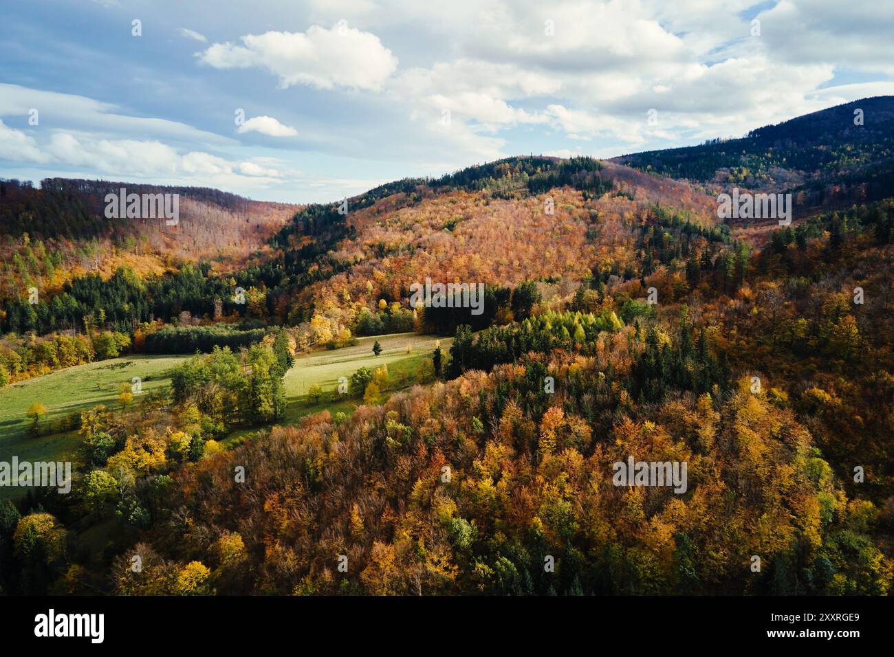 Mountains covered with colored autumn trees, aerial view. Beautiful ...