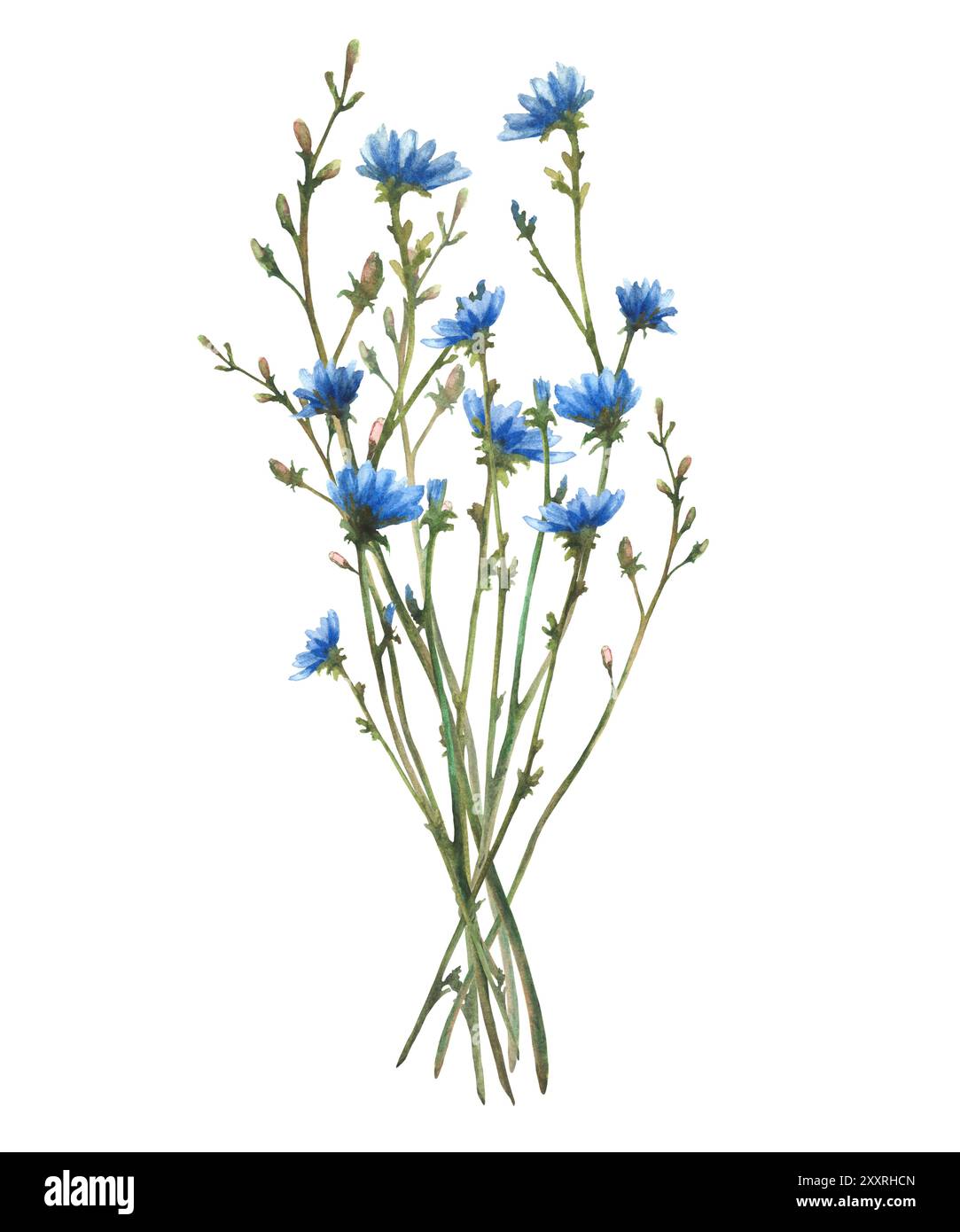 Bouquet composition wild flowers Cut Out Stock Images & Pictures - Alamy