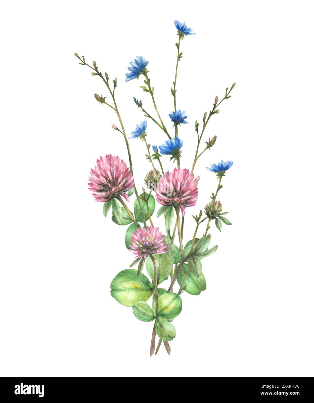 Clover blade Cut Out Stock Images & Pictures - Alamy