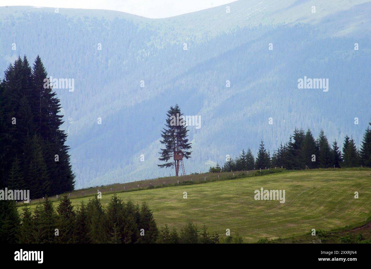 Hunting is the act of tracking and pursuing animals hunting with arms ...