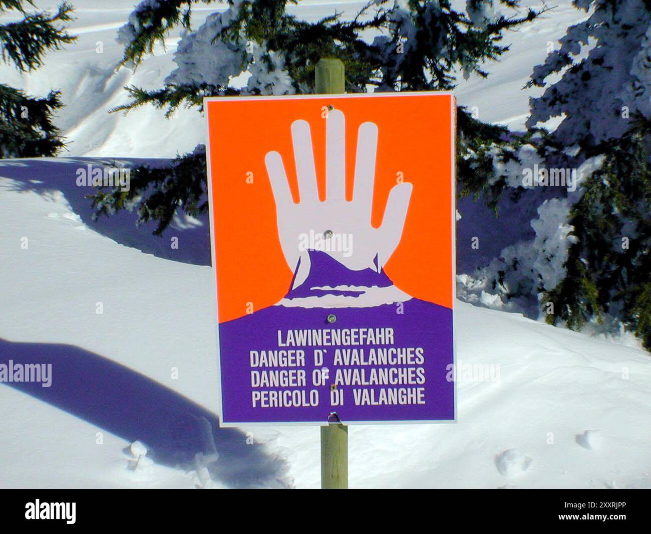 a danger of avalanches warning sign on a snowy ski area danger of ...
