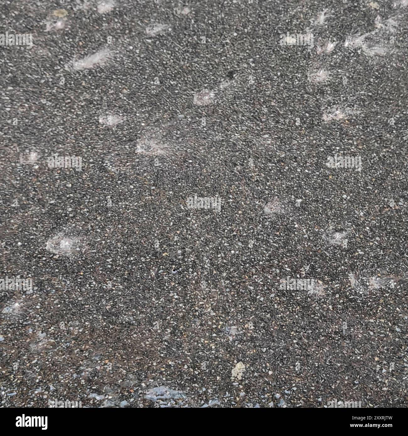 global warming and environmental change a new world global warming and ...