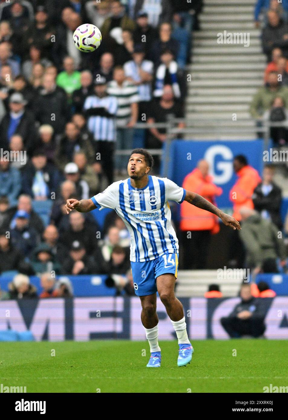 Georginio Rutter of Brighton during the Premier League match between ...