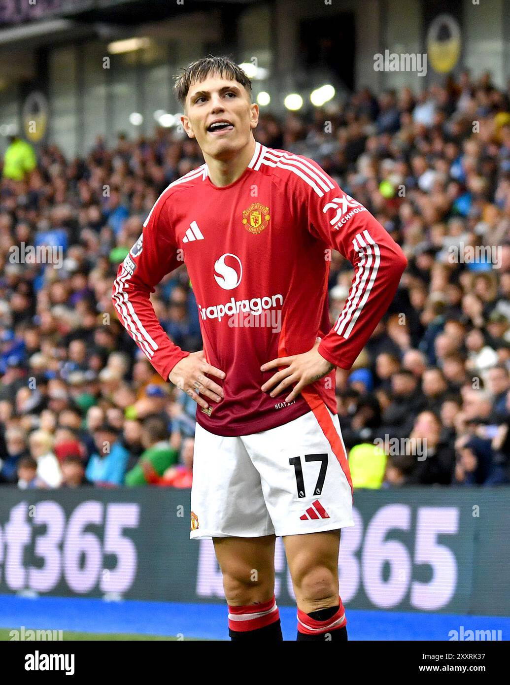 Garnacho hi-res stock photography and images - Alamy