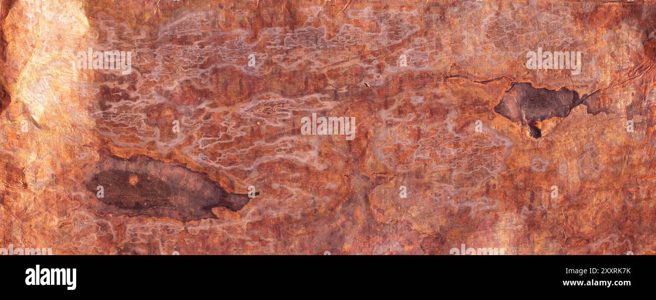 Red rock formation showing an abstract pattern of erosion and oxidation ...