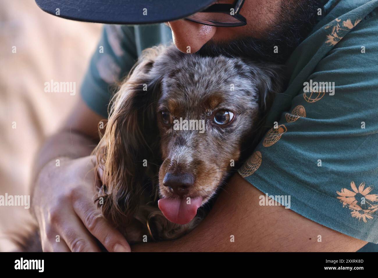 Orange County, USA. 25th Aug, 2024. A man and his wiener dog wait for ...