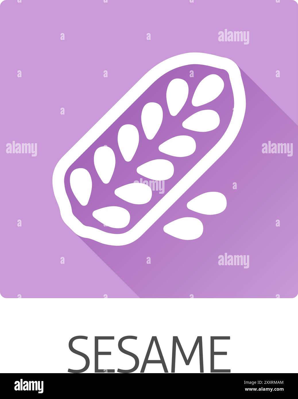 Sesame Seed Capsule Pod Food Allergen Icon Concept Stock Vector Image ...