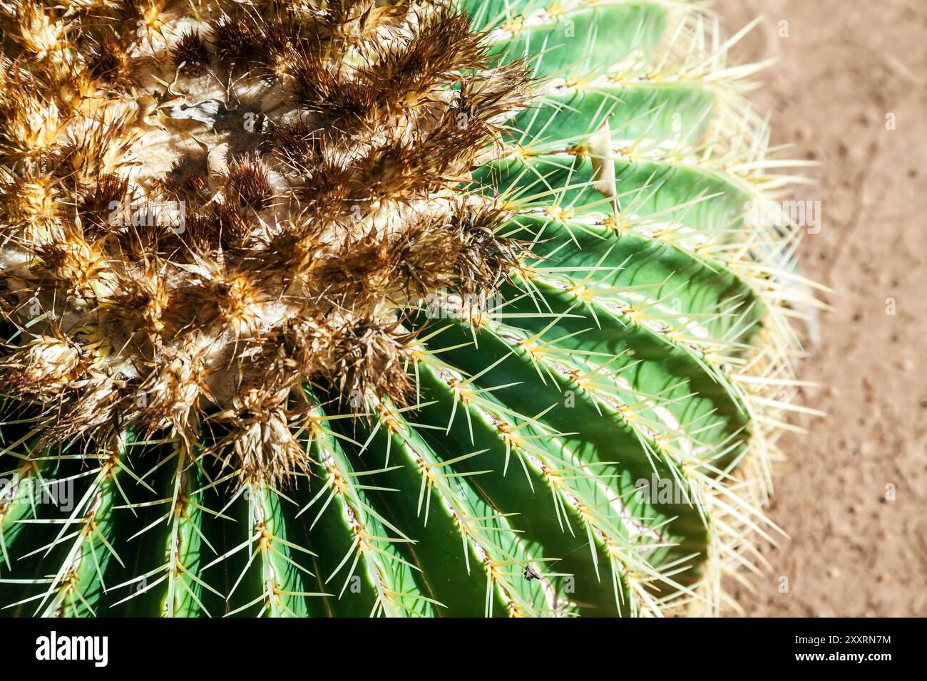 From direct above hi-res stock photography and images - Alamy