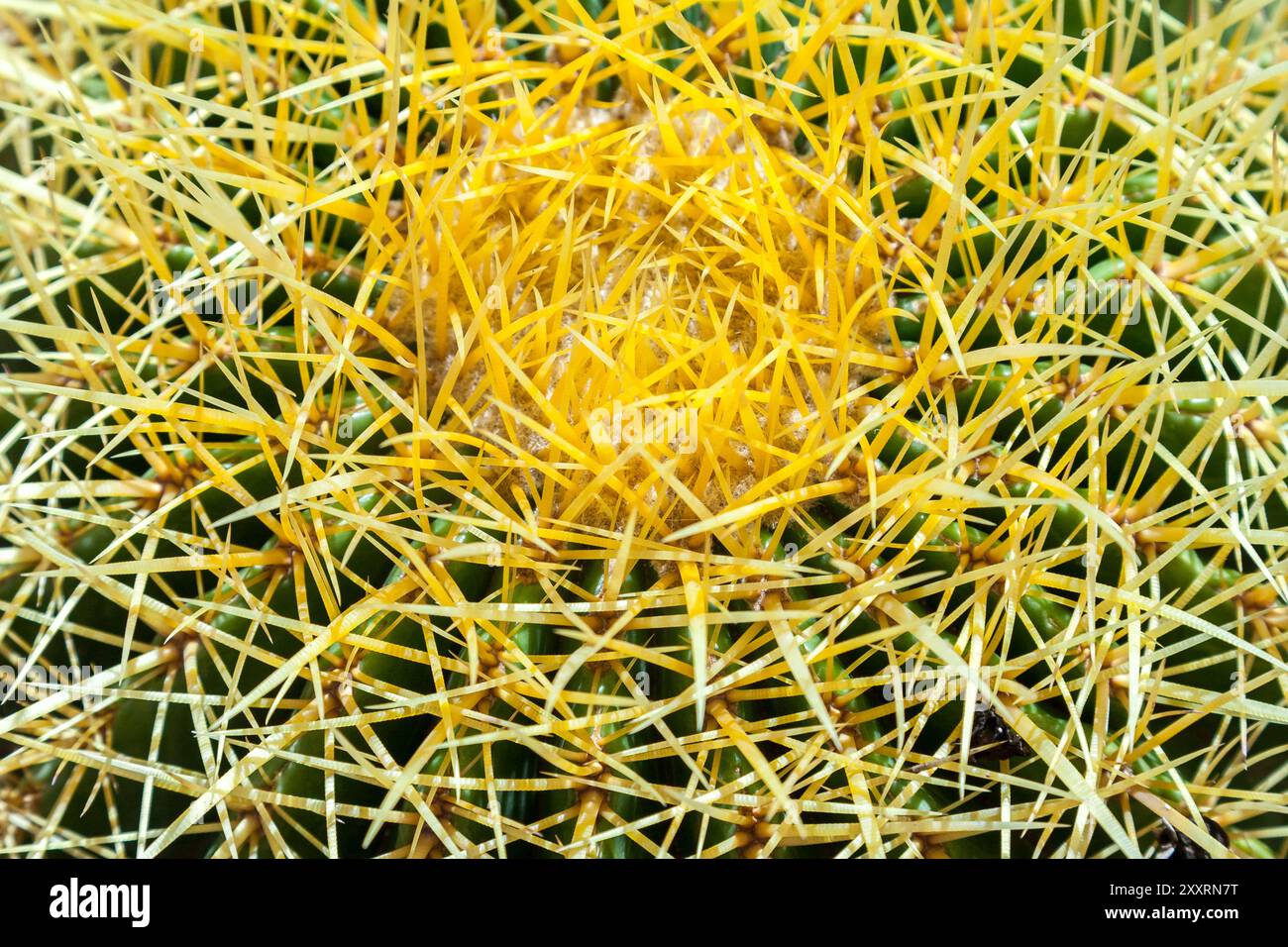 From direct above hi-res stock photography and images - Alamy