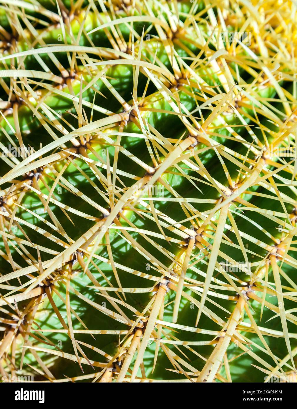 Direct from above hi-res stock photography and images - Alamy