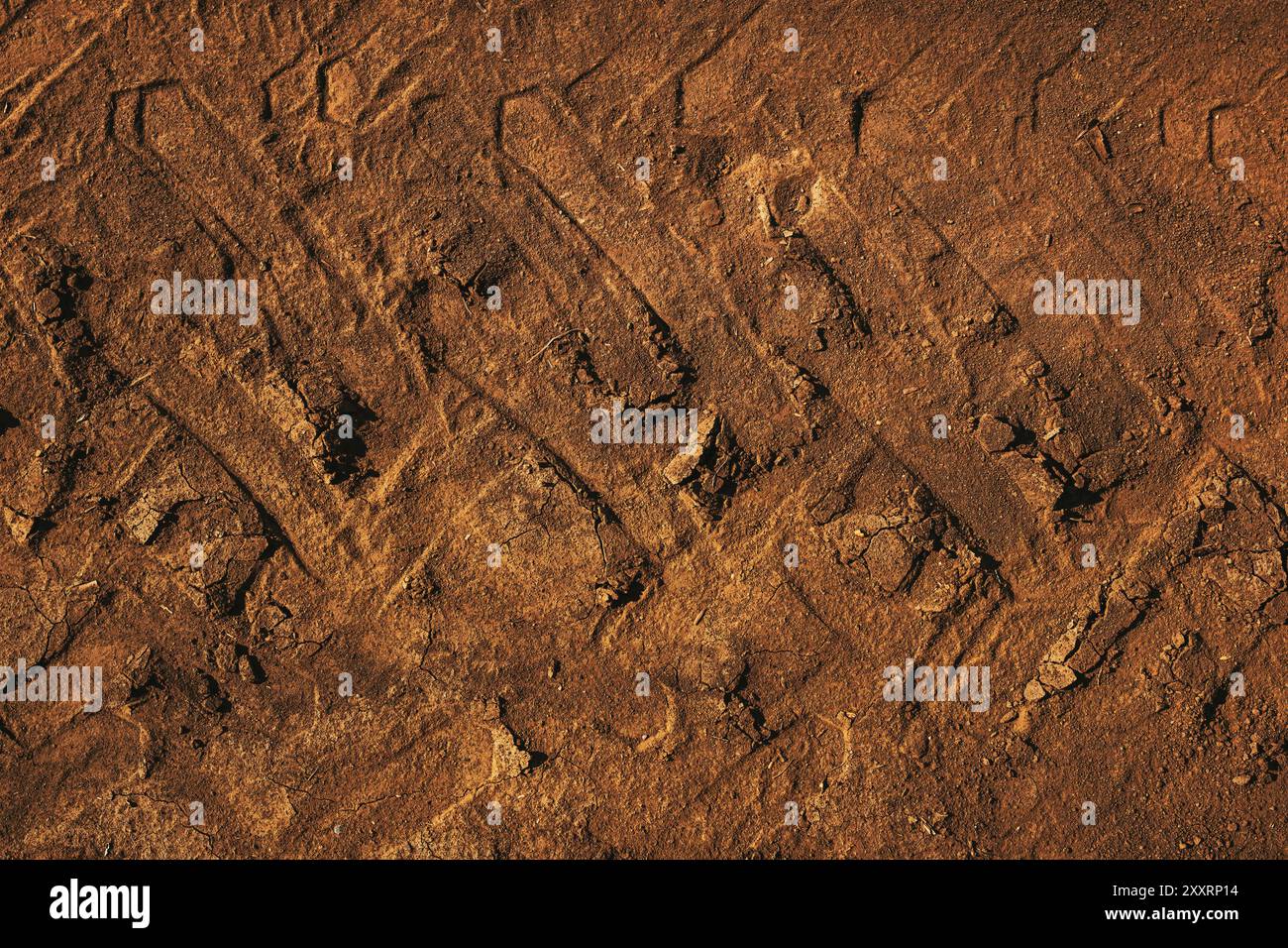 Agricultural tractor tire tread mark in fine dust of an countryside ...
