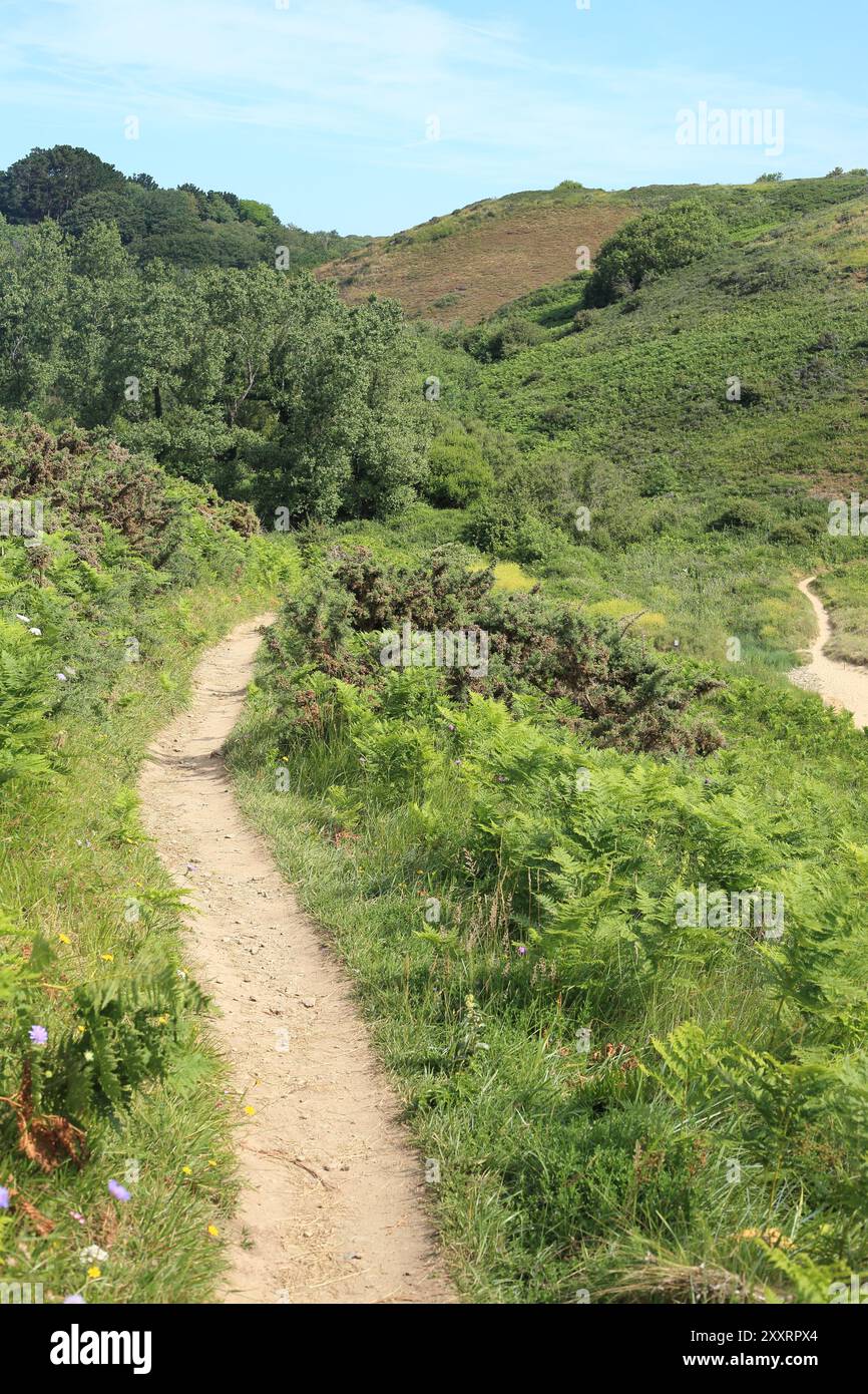 Coastal footpath (GR340) at Plage d'Herlin, Belle Ile en Mer, Brittany ...