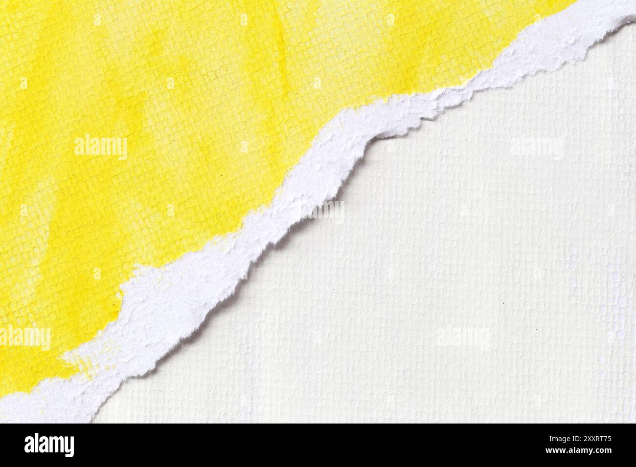 Yellow watercolour paint brush on the white art paper background and ...