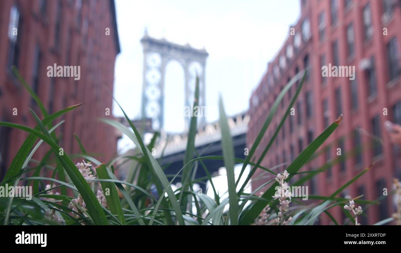 New York City Manhattan Bridge in Dumbo, Brooklyn. Red brick building ...