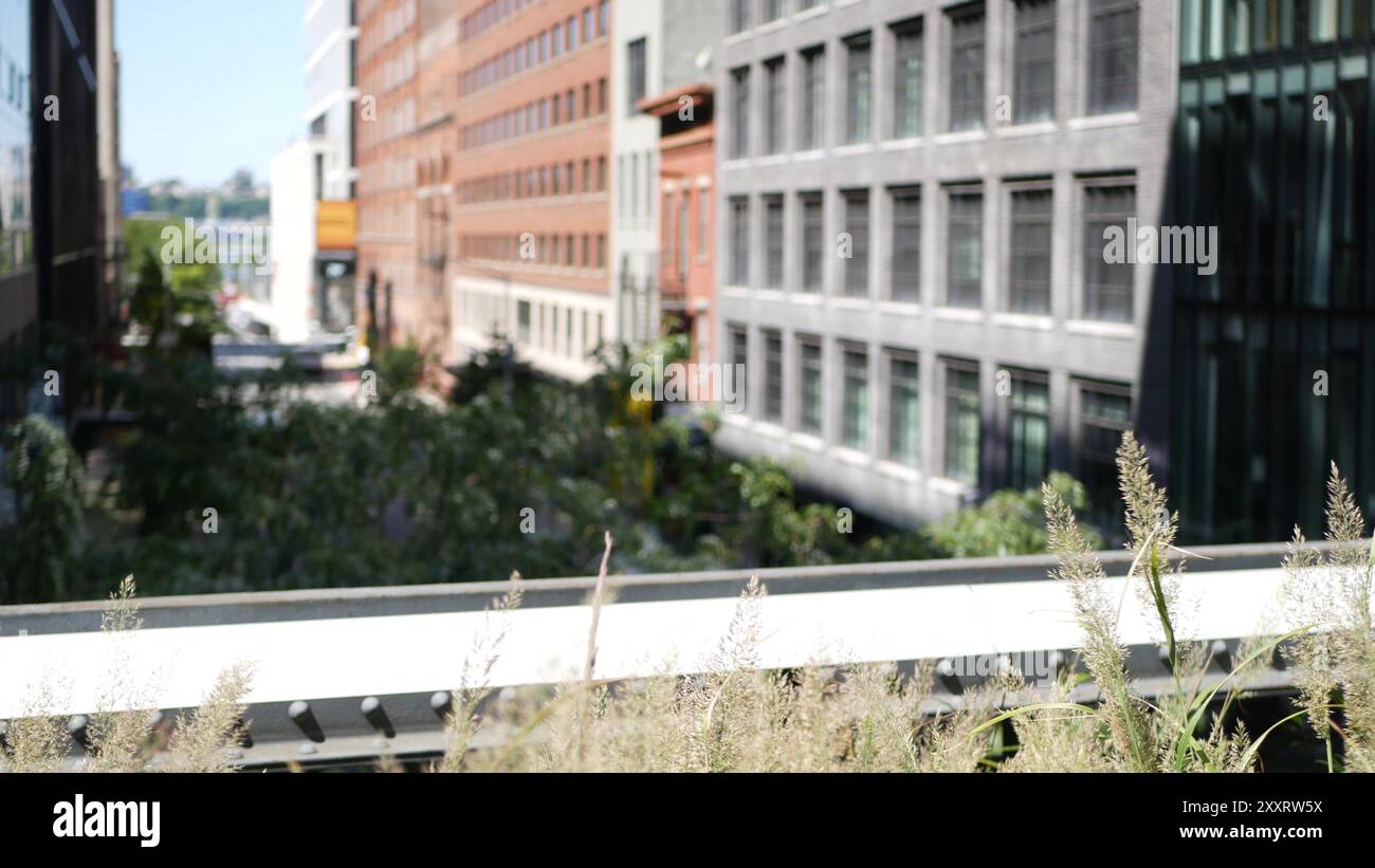 New York City High Line elevated greenway, Manhattan Midtown, USA ...