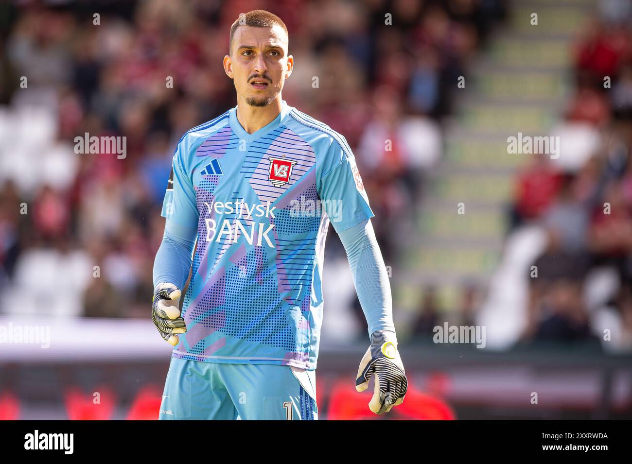 Vekic hi-res stock photography and images - Alamy