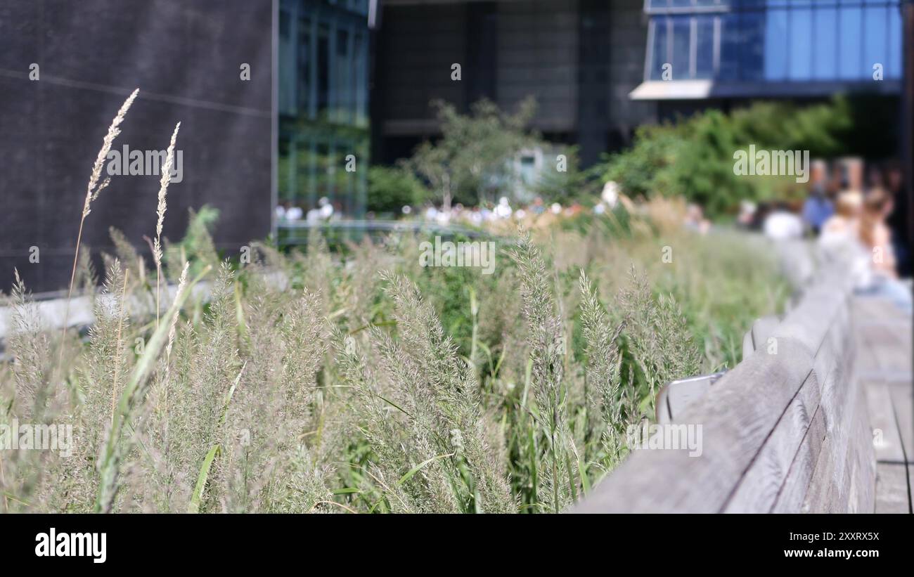 New York City High Line elevated greenway, Manhattan Midtown, USA ...