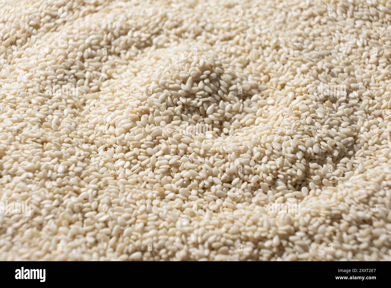 Pile of White Roasted Sesame Macro Side View Stock Photo - Alamy