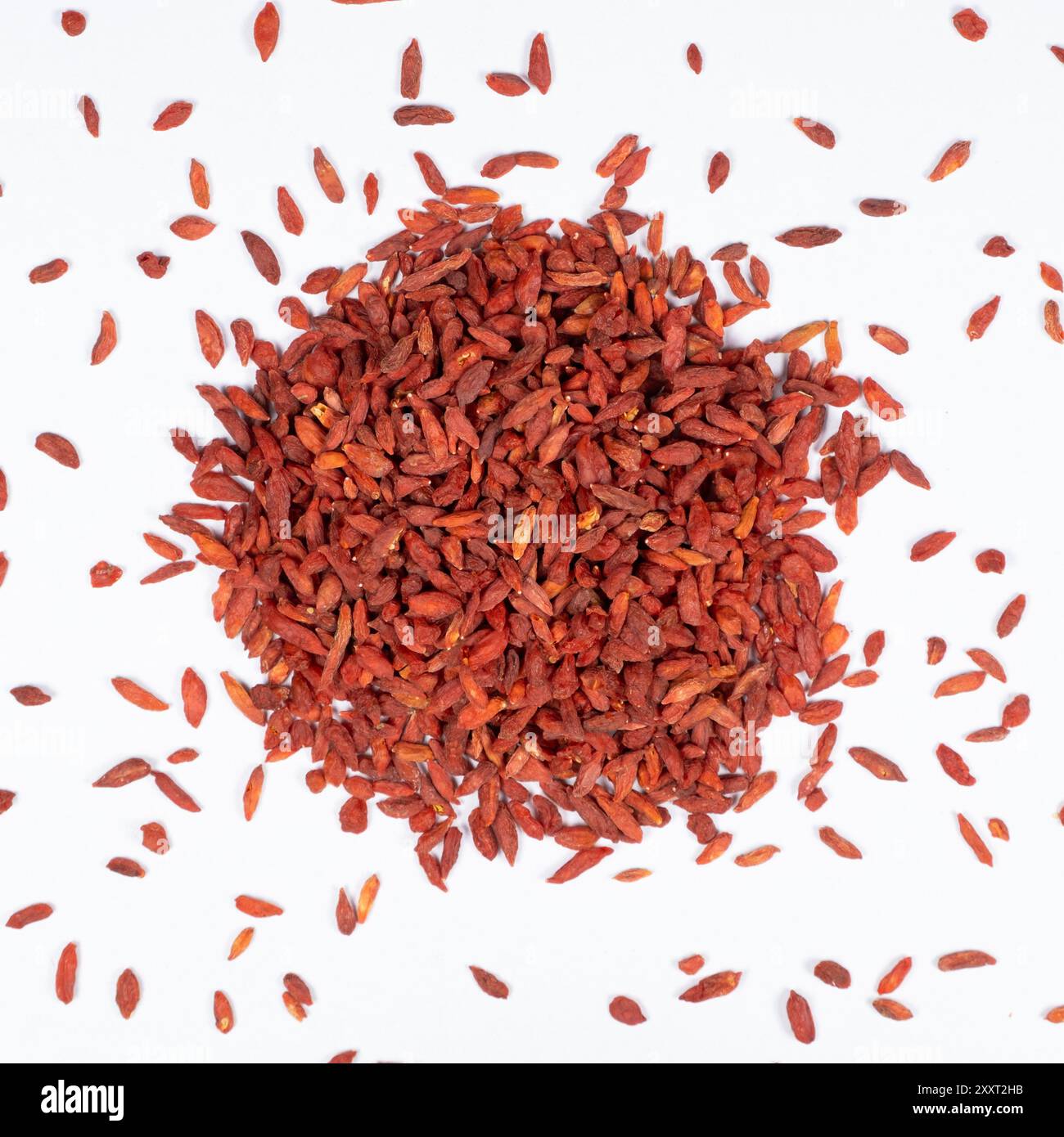 Dried Goji berries Lycium barbarum top view on a white background Stock ...