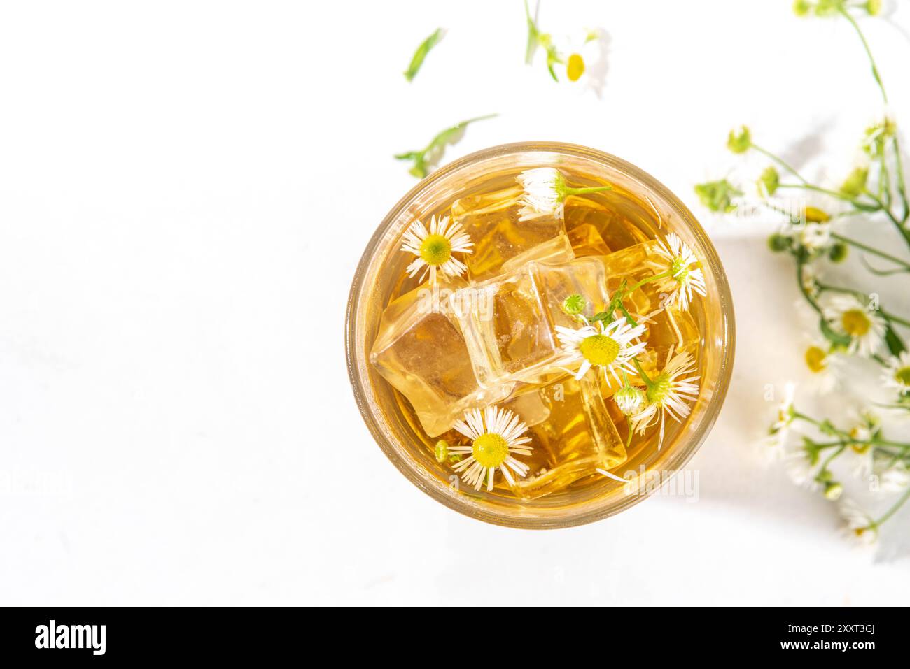 Herbal flower daisy chamomile ice tea, infused aromatic cold drink with ...