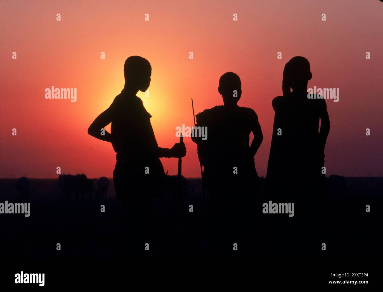 Three Nuer people silhouetted against the setting sun at a cattle camp ...