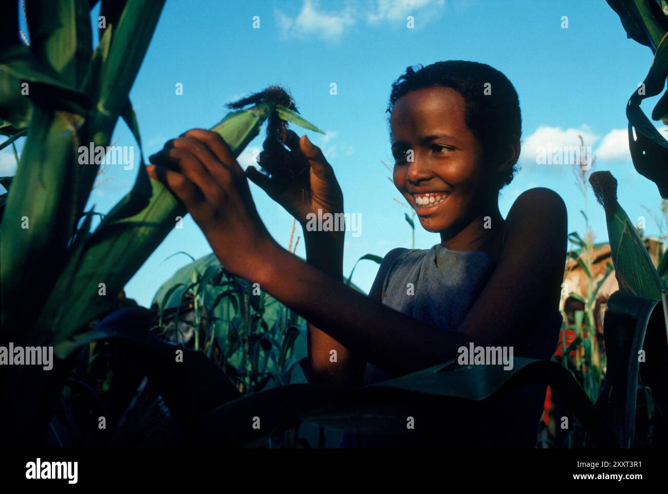 Girl with maize she has grown in the camp in Baidoa where she and her ...
