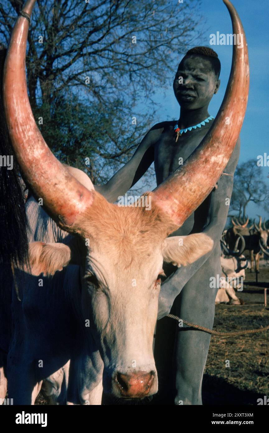 Dinka hi-res stock photography and images - Alamy