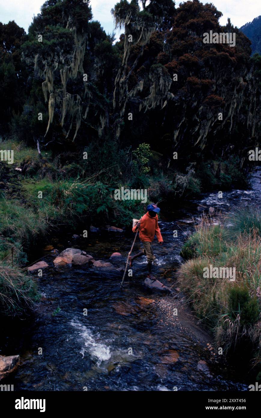 Native crossing a stream, Uganda Stock Photo - Alamy