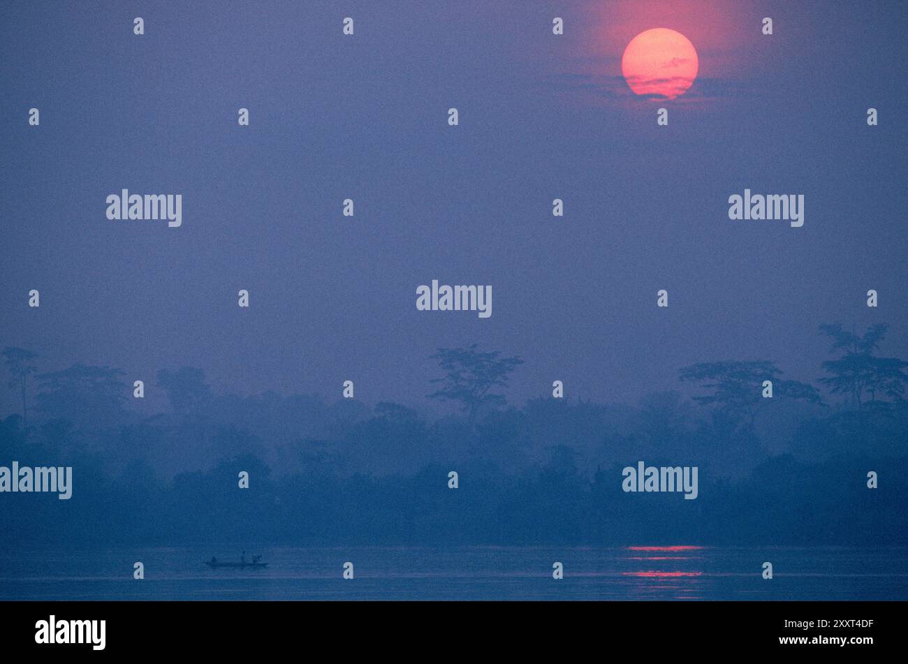 Congo forest sunset hi-res stock photography and images - Alamy