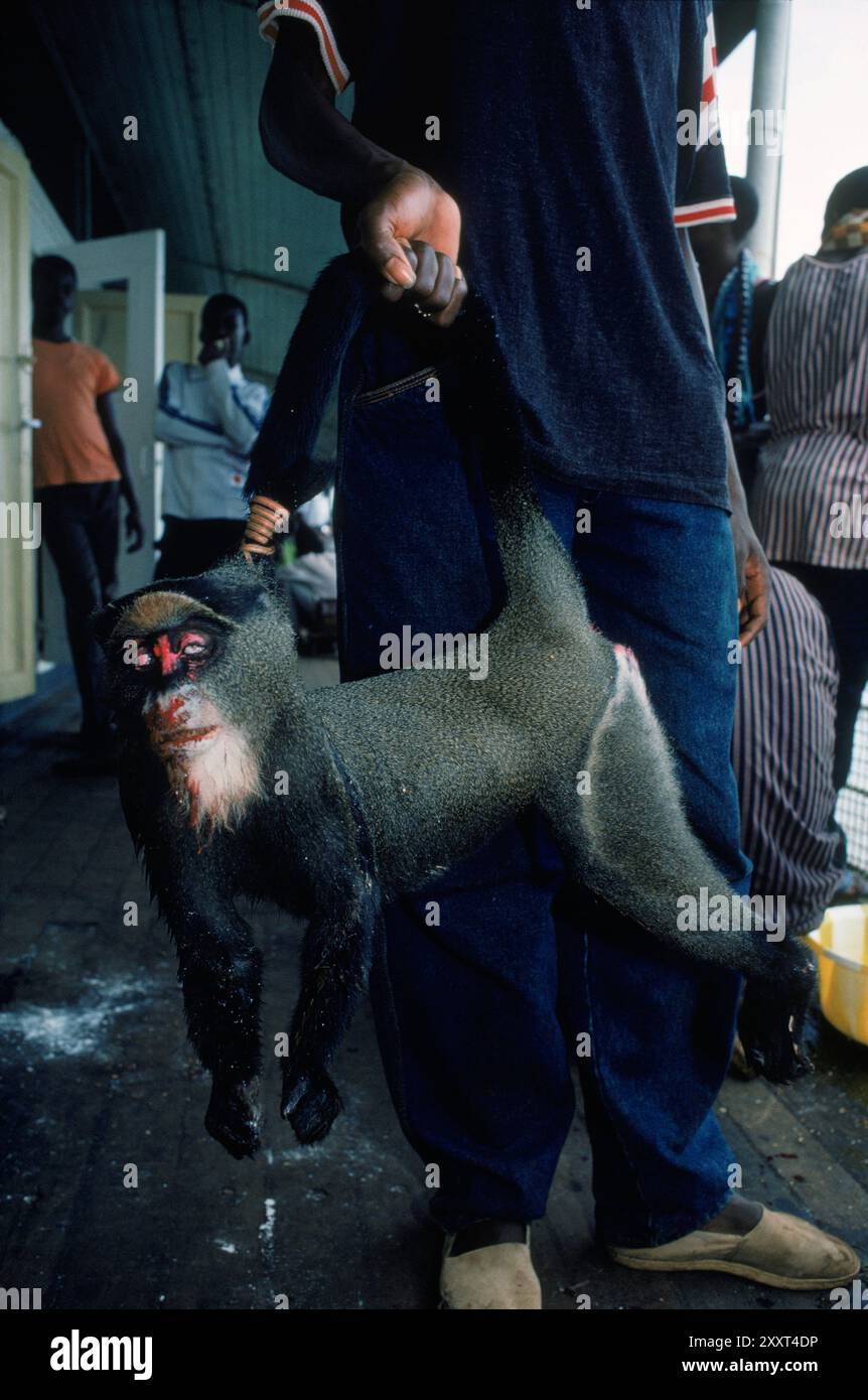 Monkey meat hi-res stock photography and images - Alamy