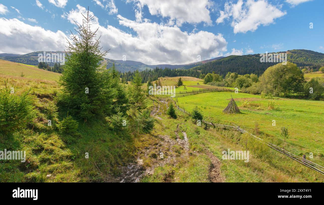 carpathian rural landscape in autumn. beautiful countryside scenery of ...