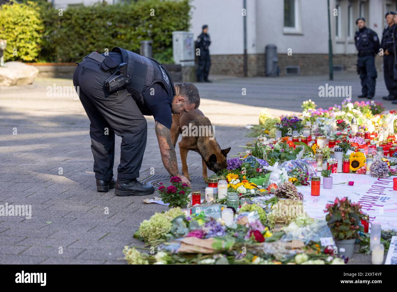Solingen, Germany. 26th Aug, 2024. A police sniffer dog checks a ...