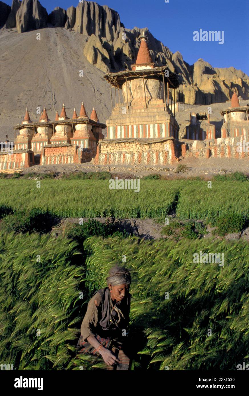 Tangye hi-res stock photography and images - Alamy