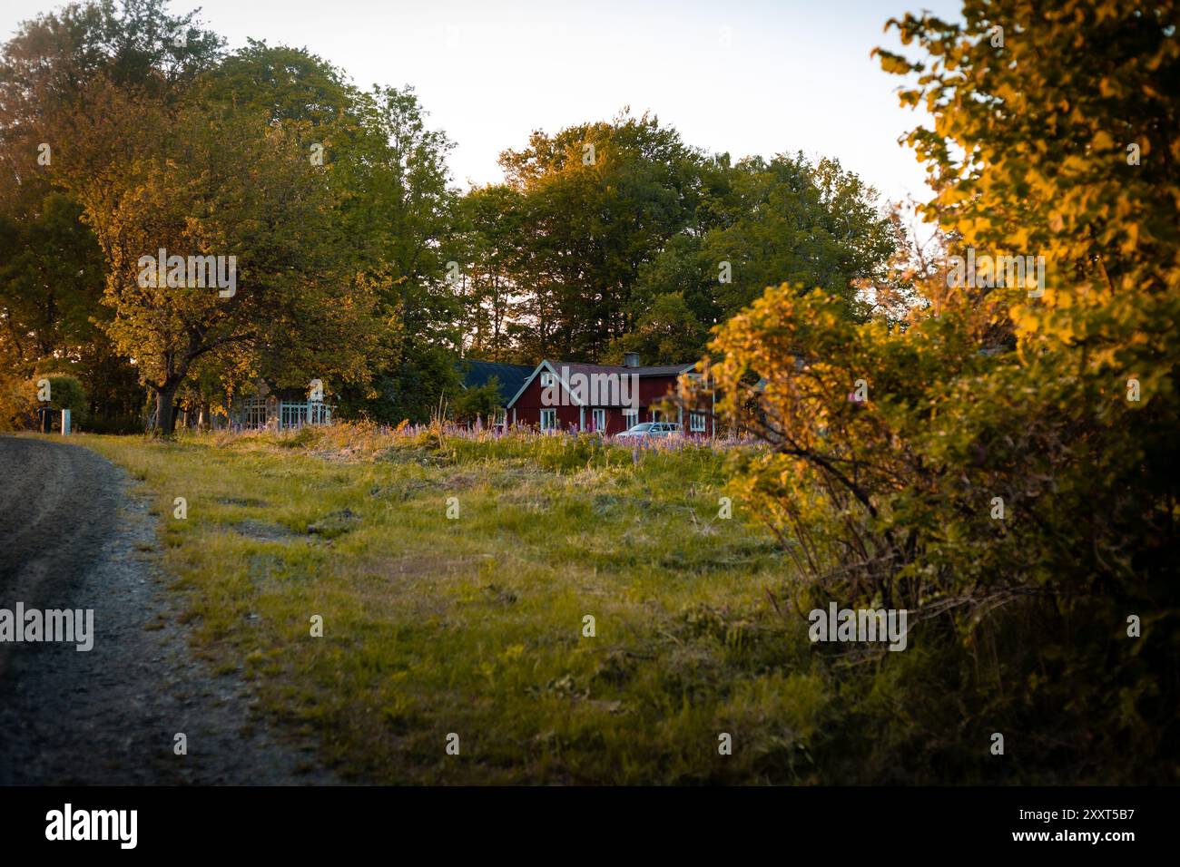 Summer house by country road in Scania, Sweden Stock Photo - Alamy