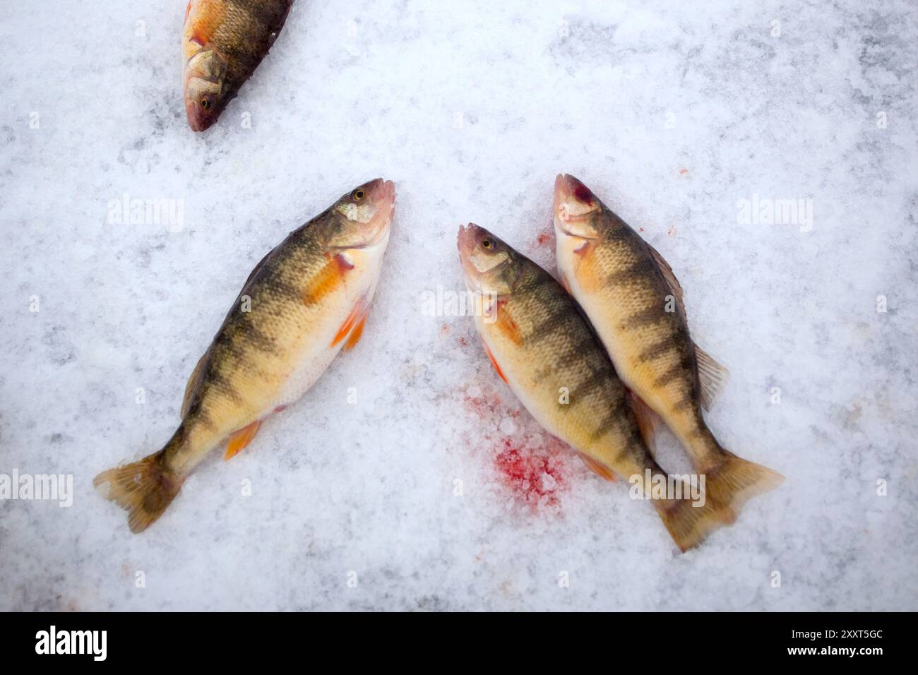 Moses sits hi-res stock photography and images - Alamy