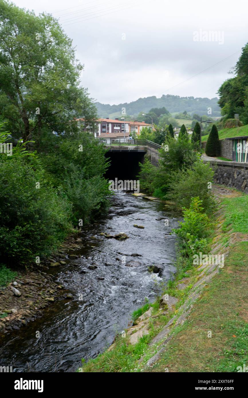 Landscape of a village with a river and an old bridge, in Tolosa, Spain ...