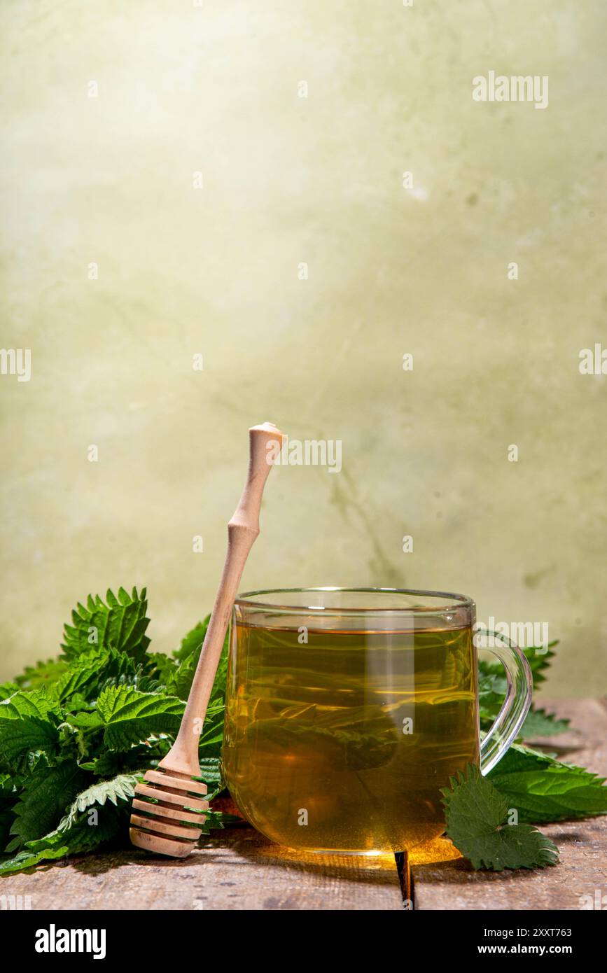 Nettle Tea hot plant drink in transparent glass cup. Organic natural ...
