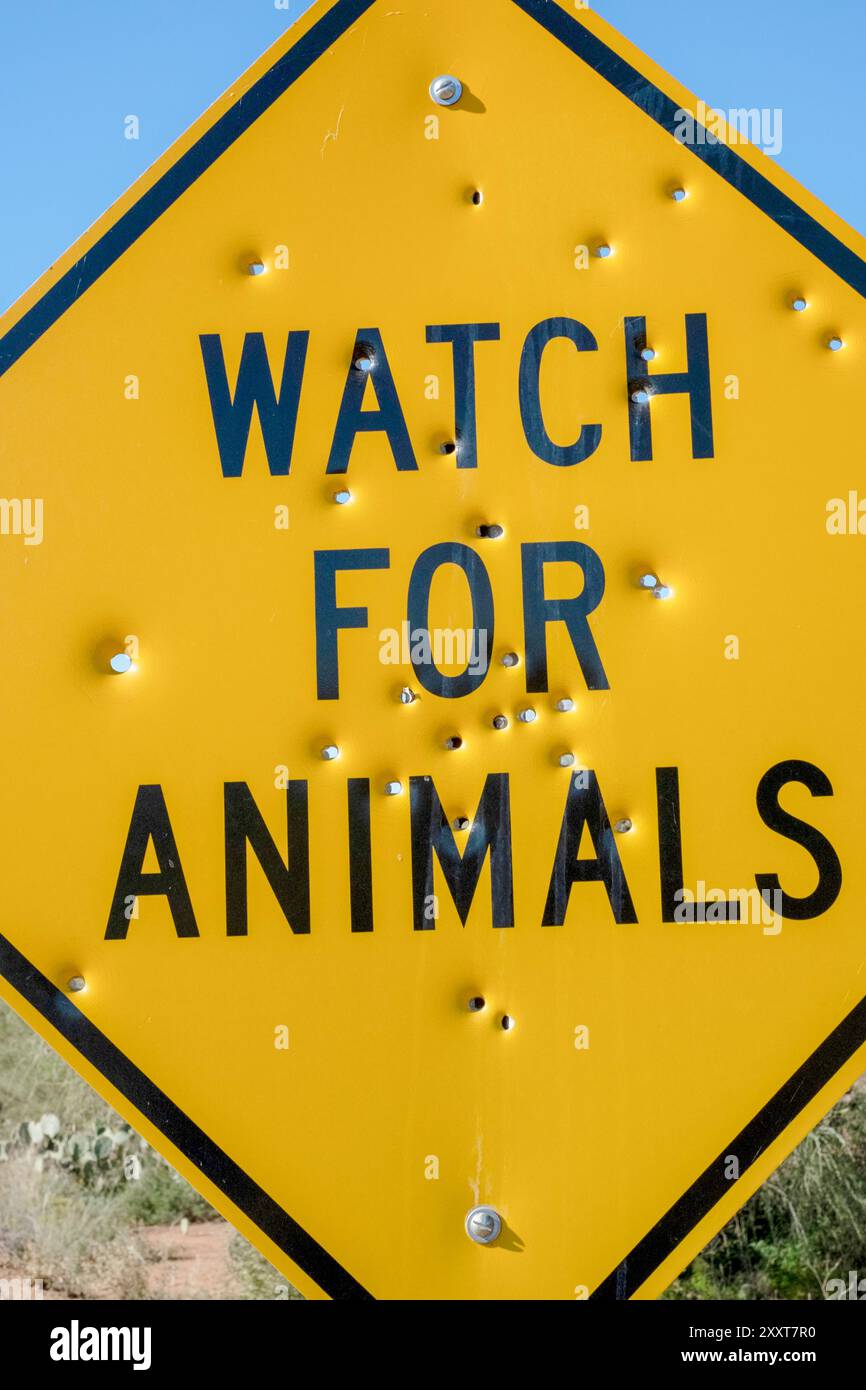 Watch for animals road sign with bullet holes vertical Stock Photo - Alamy
