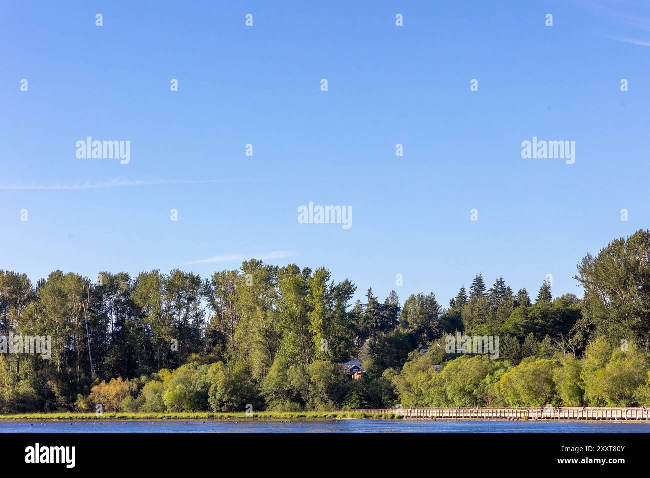 Expansive view of treeline with blue sky and water in Juanita Bay Stock ...