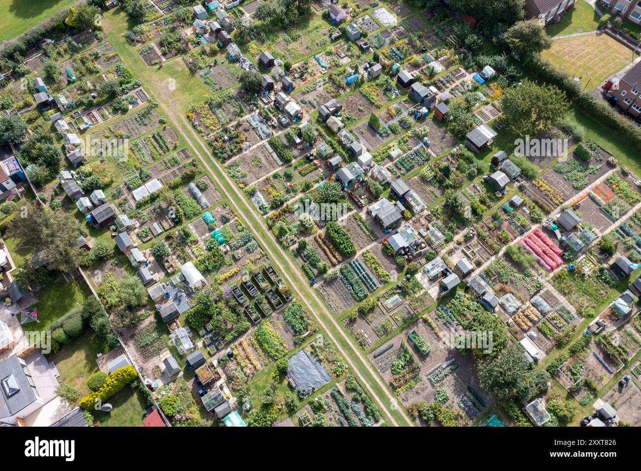 Straight down aerial drone photo of a typical British community ...