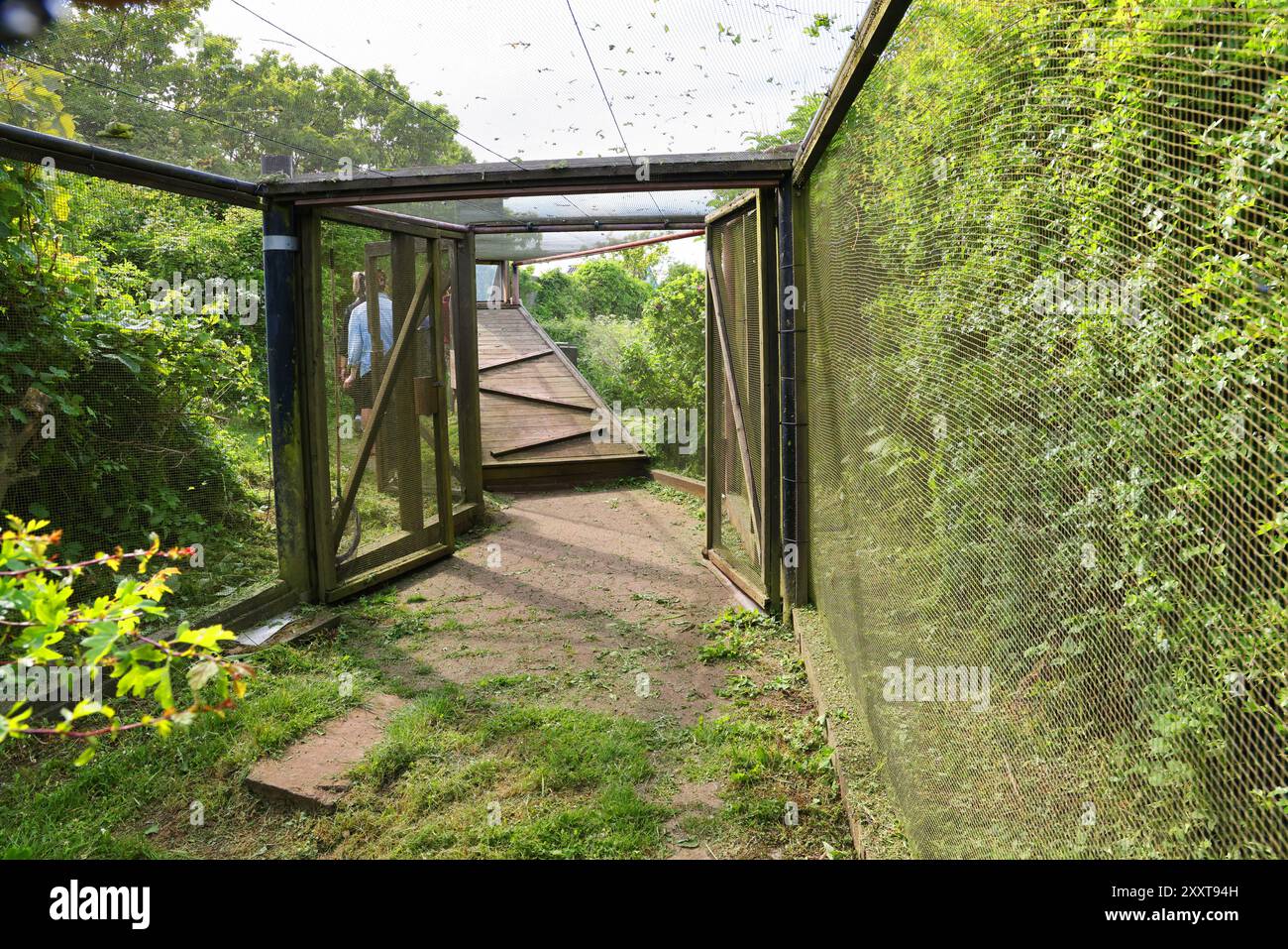 Helgoland bird observatory, ringing station, Germany, Schleswig ...