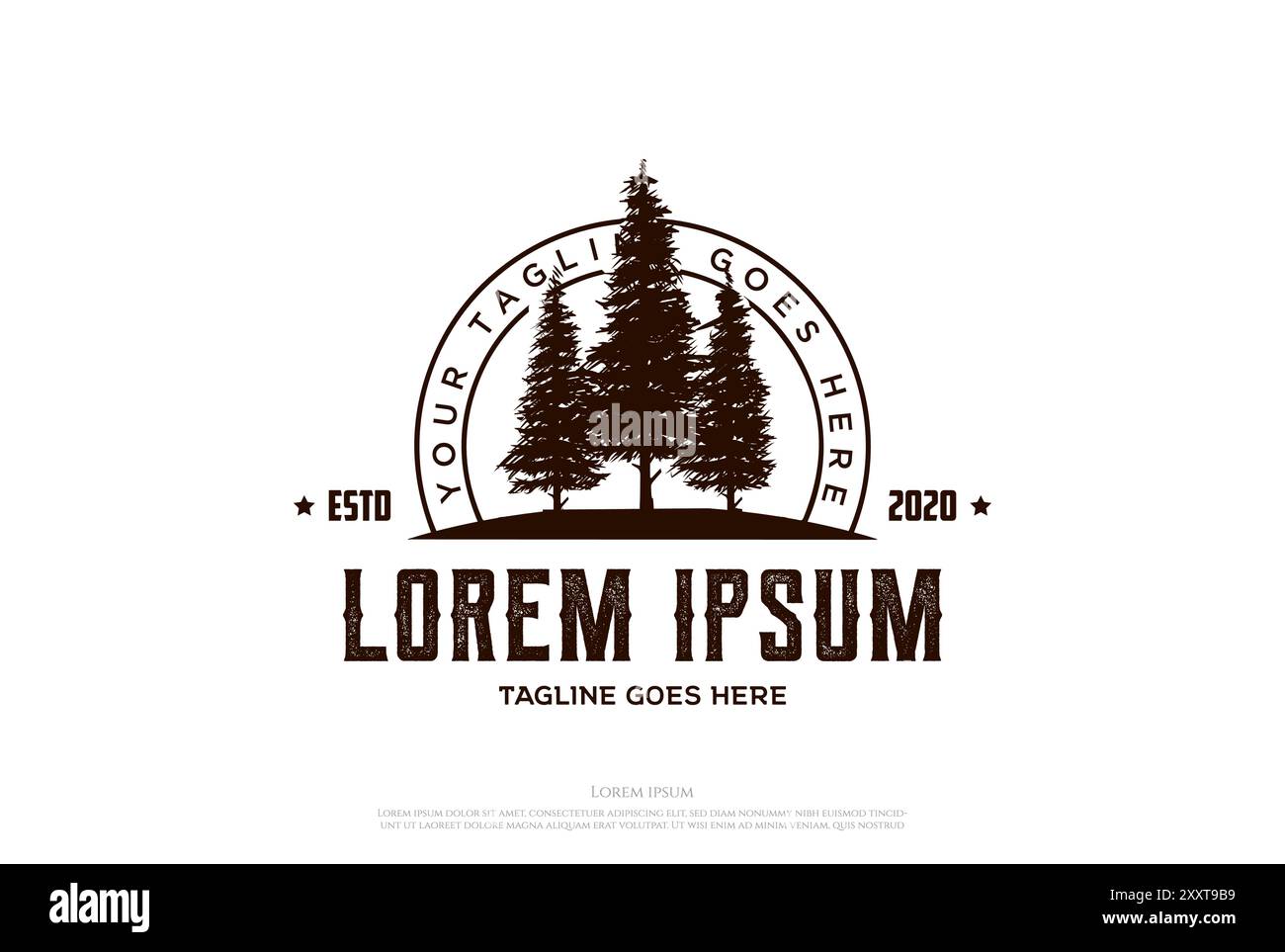 Retro Vintage Hipster Pine Spruce Evergreen Cedar Conifer Coniferous ...