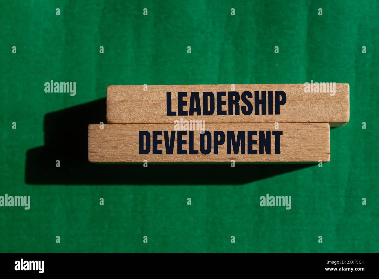 Leadership development message written on wooden blcoks with green ...
