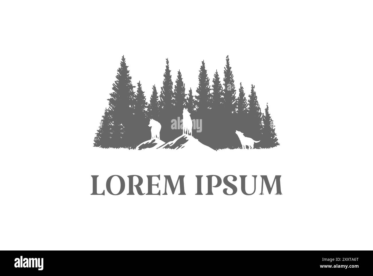 Beautiful evergreen fir trees Stock Vector Images - Alamy