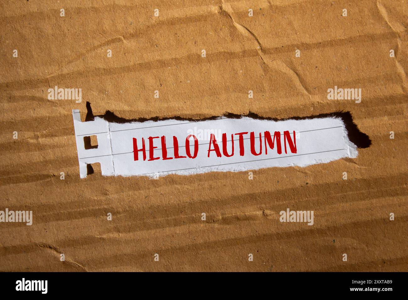 Hello autumn message written on ripped torn paper piece with cardboard background. Conceptual ...