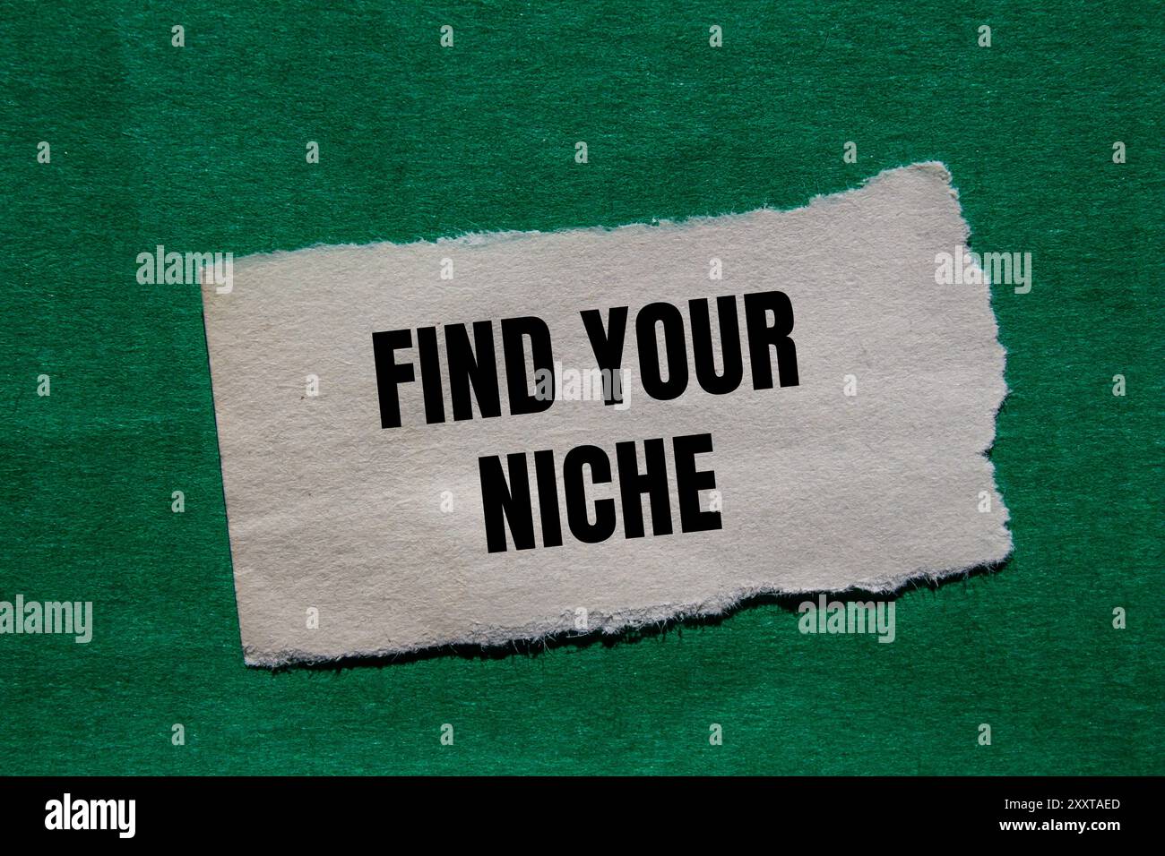 Find your niche message written on ripped torn paper piece on green ...