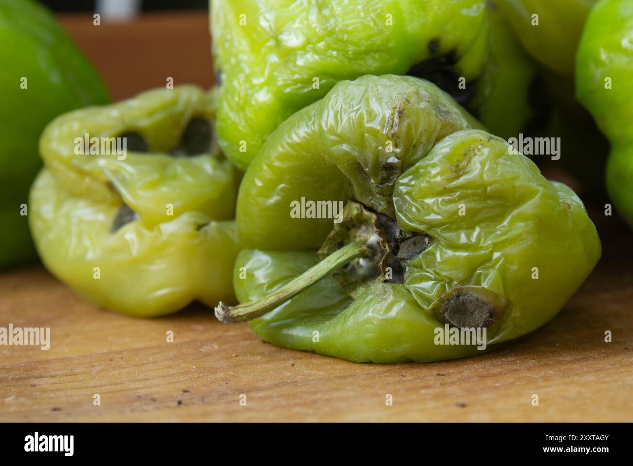 Microbial decomposition hi-res stock photography and images - Alamy